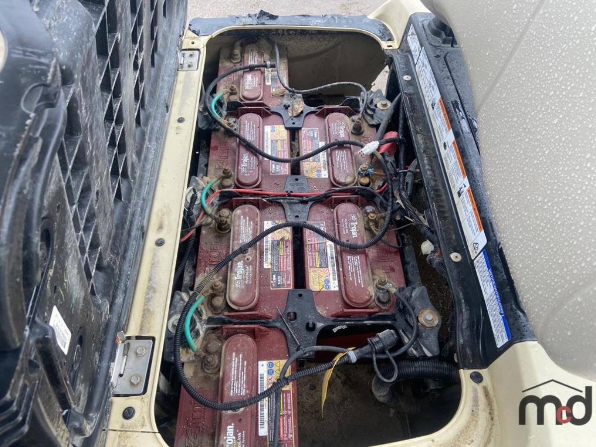 2017 Yamaha DR2E17 Electric Golf Cart